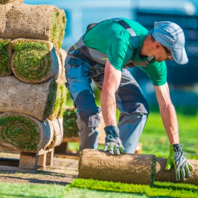 Construction - Landscaping Assistant - OMNIA TRAINING