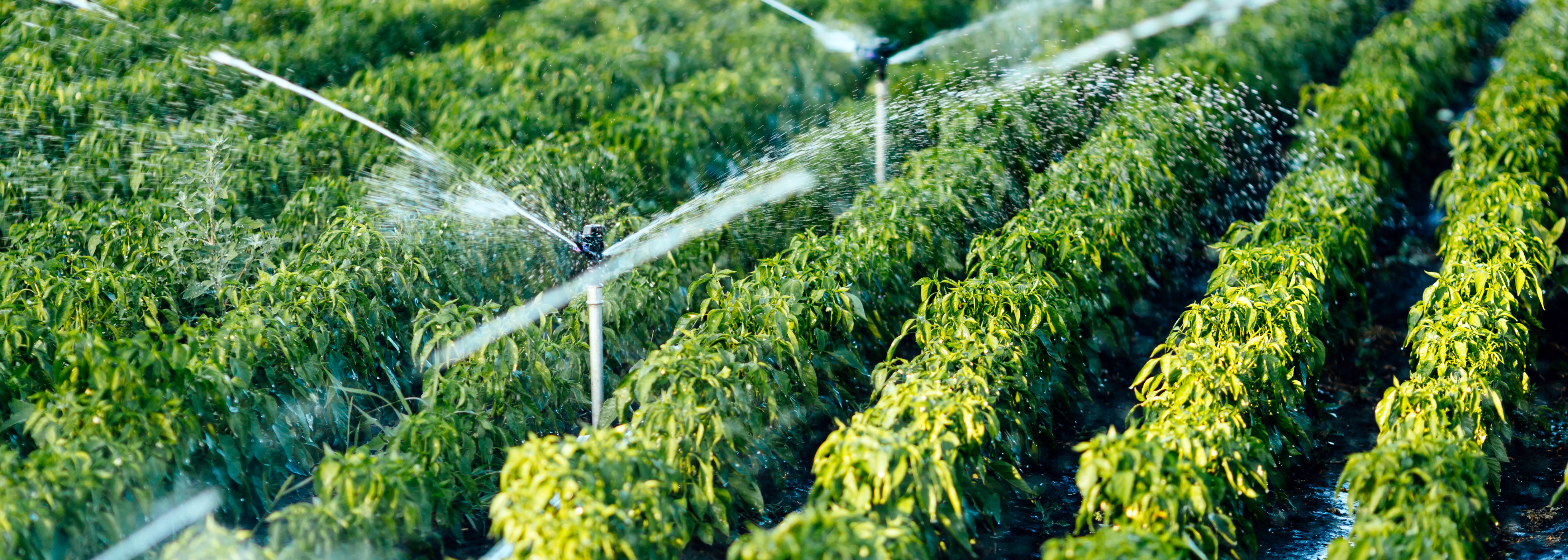 Construction - Irrigation Assistant Program - OMNIA TRAINING